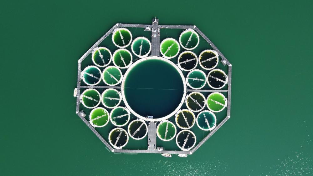 “The LakeLab manages the balancing act between a high degree of realism ...