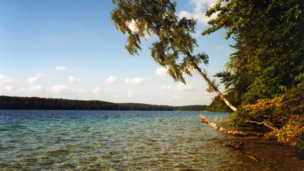 50 years of limnological monitoring data on Lake Stechlin | IGB