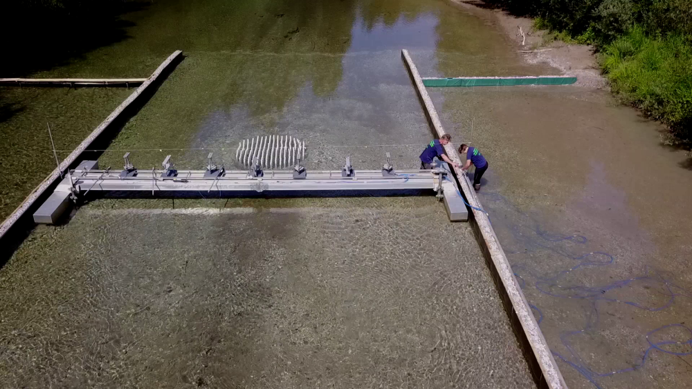 "To researchers, this river is like a textbook" | IGB