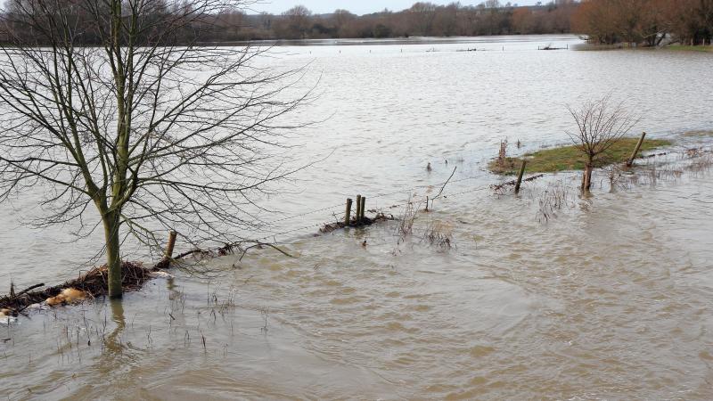 IGB Leibniz-Institute of Freshwater Ecology and Inland Fisheries